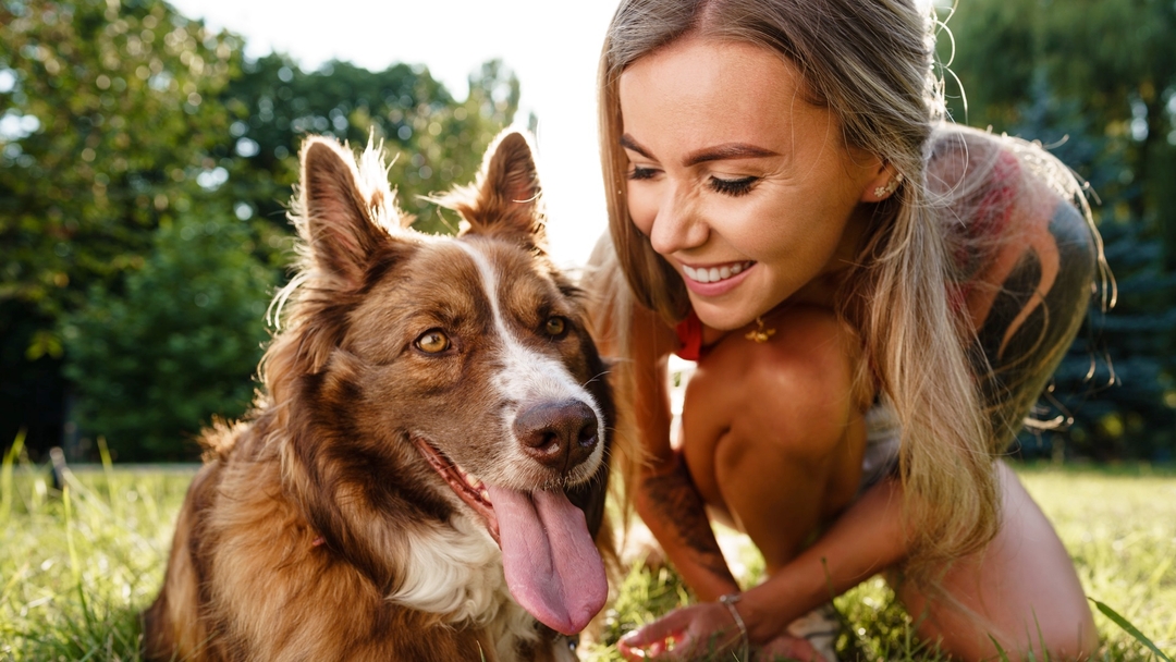 Dogs > Your Adolescent Dog | Portland Dog Trainer