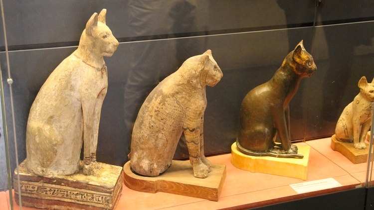 Cats > A Brief History Of Cats | Portland Dog Trainer