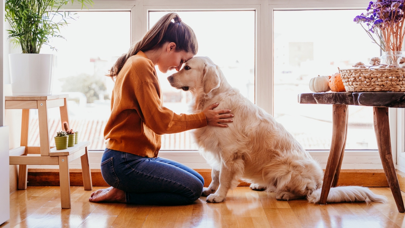 Dogs > Promises To My Dog | Portland Dog Trainer