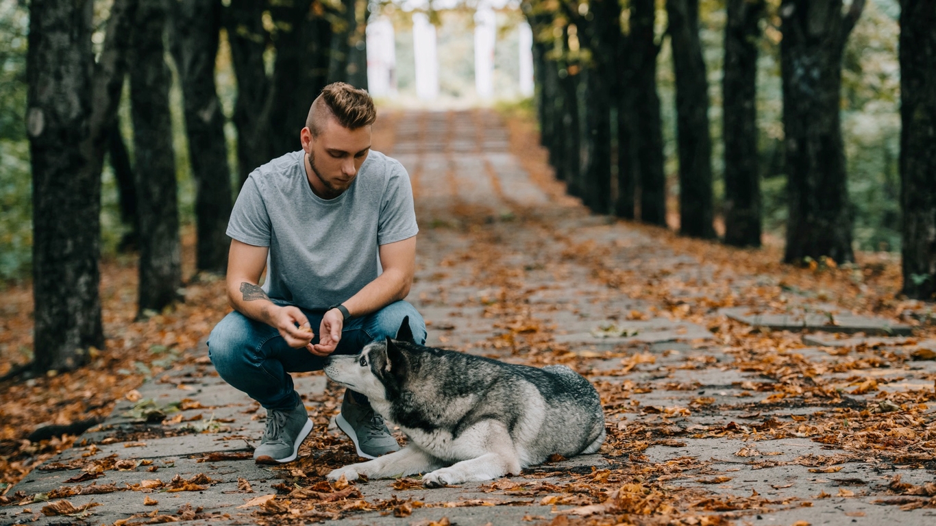 Dog Training > Dog Training - What You Need To Know | Portland Dog Trainer